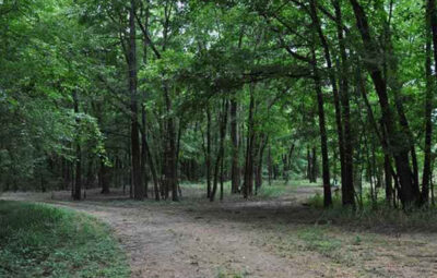 Sepulga River Canoe Trail – Alabama Front Porches: Southwest Alabama ...