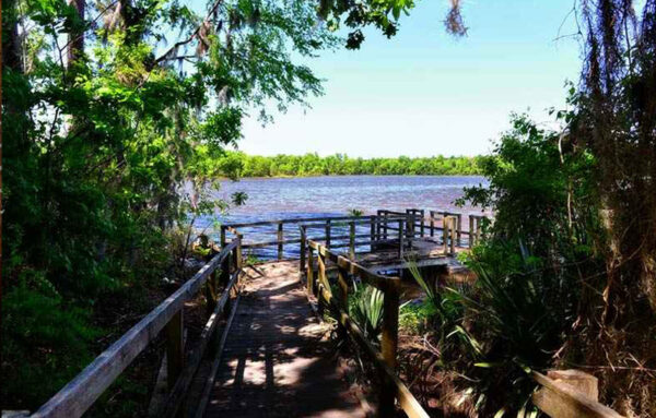 Sepulga River Canoe Trail – Alabama Front Porches: Southwest Alabama ...