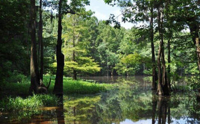 Sepulga River Canoe Trail – Alabama Front Porches: Southwest Alabama ...