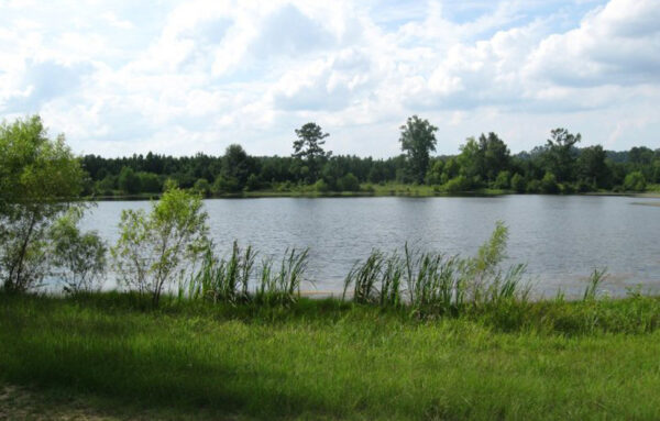 Sepulga River Canoe Trail – Alabama Front Porches: Southwest Alabama ...