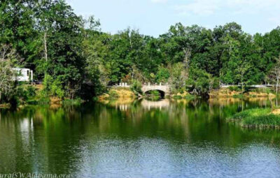 Alabama River – Alabama Front Porches: Southwest Alabama Tourism