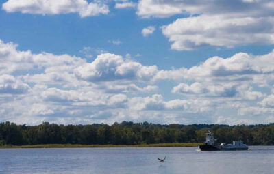 Sepulga River Canoe Trail – Alabama Front Porches: Southwest Alabama ...