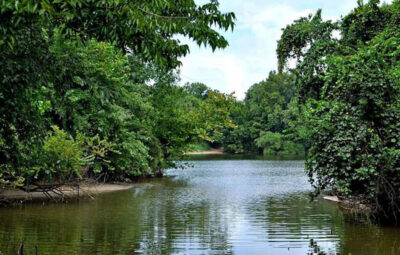 Sepulga River Canoe Trail – Alabama Front Porches: Southwest Alabama ...