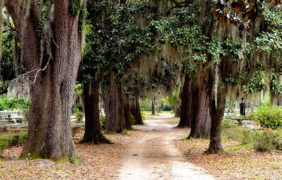 Sepulga River Canoe Trail – Alabama Front Porches: Southwest Alabama ...