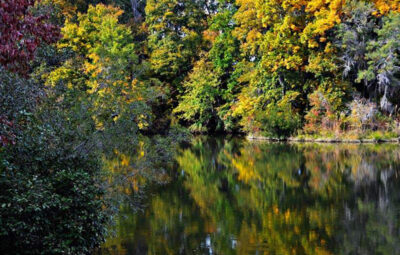 Sepulga River Canoe Trail – Alabama Front Porches: Southwest Alabama ...