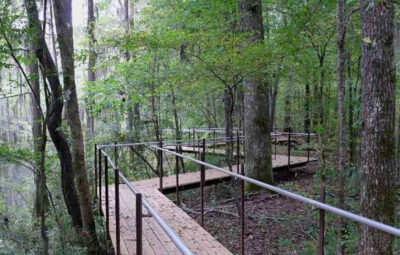 Sepulga River Canoe Trail – Alabama Front Porches: Southwest Alabama ...