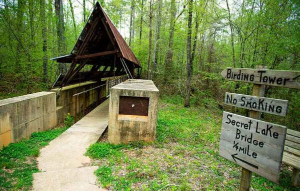 Sepulga River Canoe Trail – Alabama Front Porches: Southwest Alabama ...