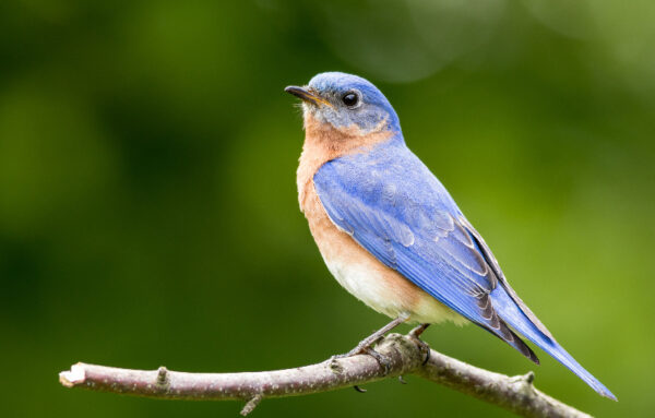 Sepulga River Canoe Trail – Alabama Front Porches: Southwest Alabama ...