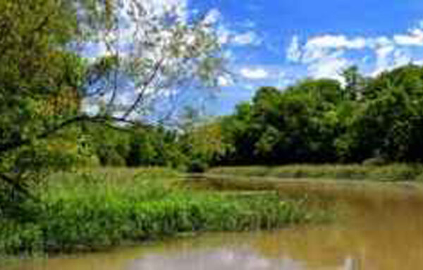 Sepulga River Canoe Trail – Alabama Front Porches: Southwest Alabama ...