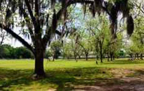 Sepulga River Canoe Trail – Alabama Front Porches: Southwest Alabama ...