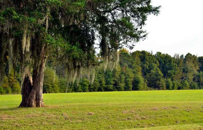 Alabama Front Porches: Southwest Alabama Tourism – Southwest Alabama ...