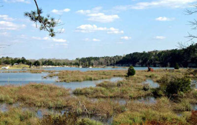 Sepulga River Canoe Trail – Alabama Front Porches: Southwest Alabama ...