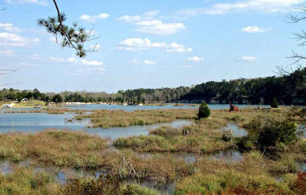 Prairie Creek Campground – Alabama Front Porches: Southwest Alabama Tourism